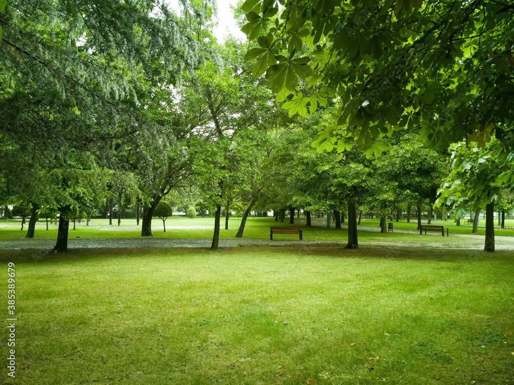 Fotografía Parque verde urbano con distintas especies de árboles y ...