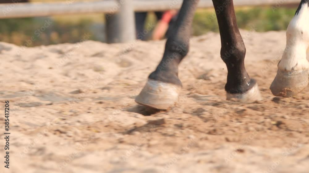 Horse foot gallop detail running in slow motion and spreading sand ...