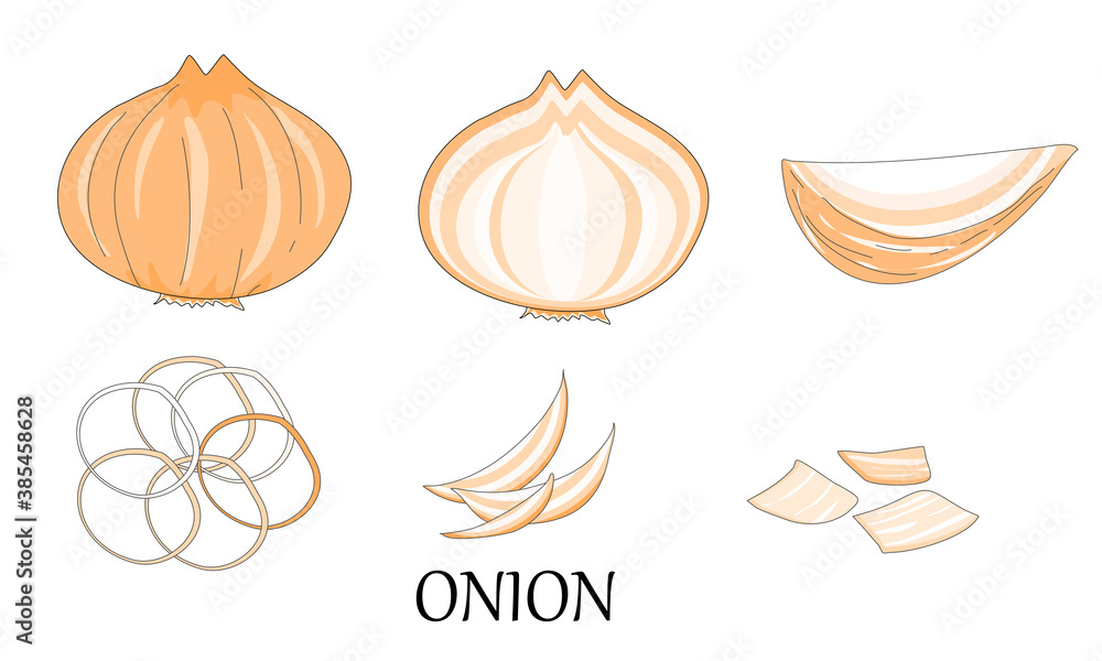 Sliced Onions Drawing