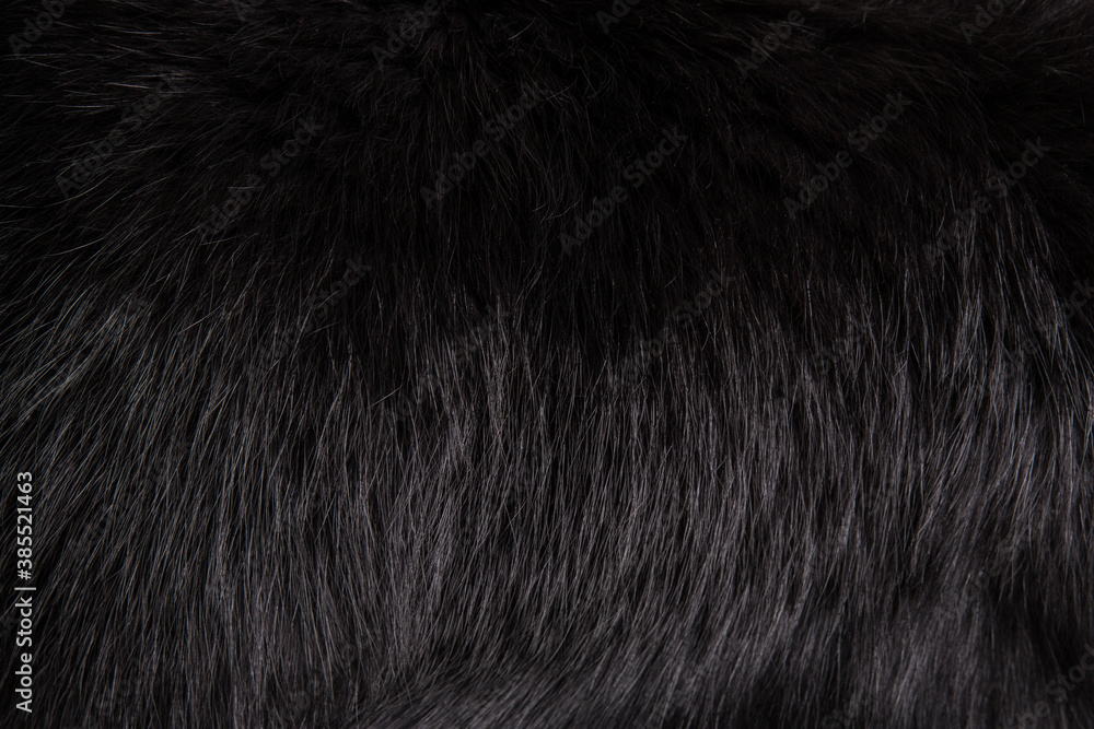 Texture beautiful black fluffy fox fur close-up. Black background Stock ...