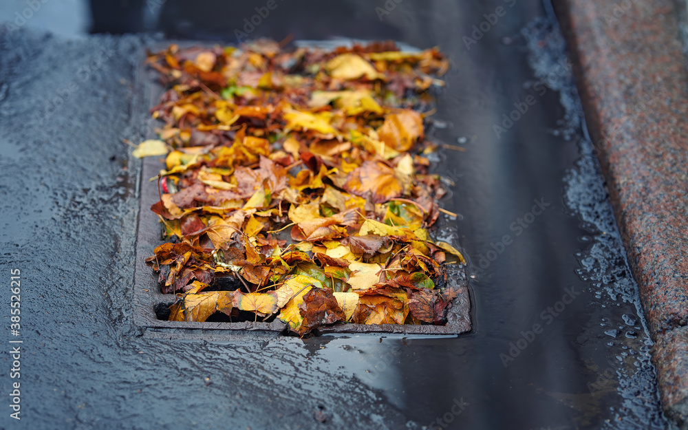 Street water drain blocked with leaves. Debris blocks rainwater runoff ...