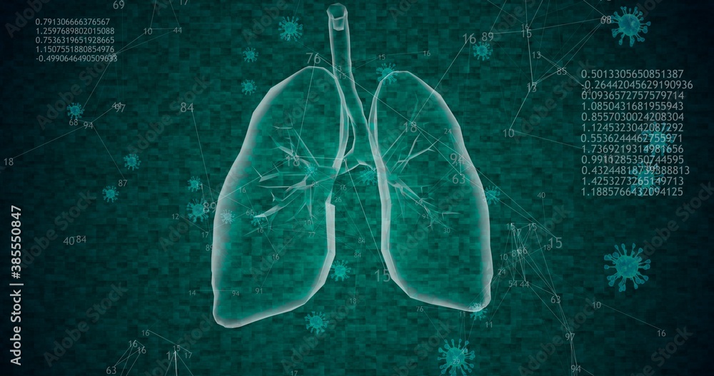 Rotating 360 low polygonal lungs 3D model with coronavirus cells and ...