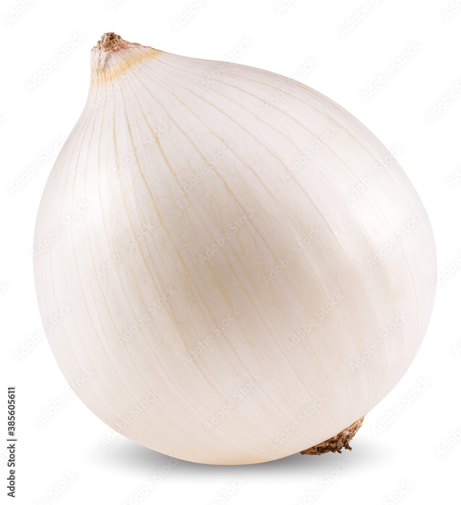 white onion isolated on white background. full depth of field Stock ...
