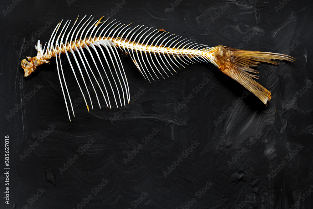 Fish skeleton on a dark background. Space for text Stock Photo | Adobe ...