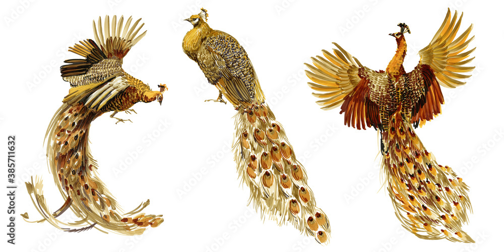gold peacocks watercolor set. Golden birds illustration. Stock ...