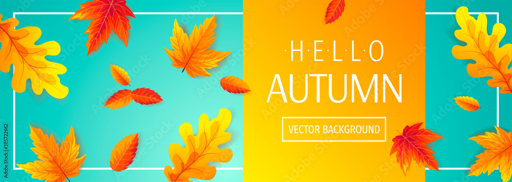 Autumn promo sale banner or background with bright autumn leaves ...