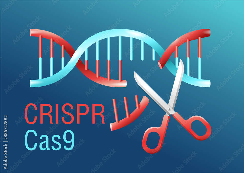 Vecteur Stock CRISPR Cas9 - gene editing system - DNA spiral cutting by ...