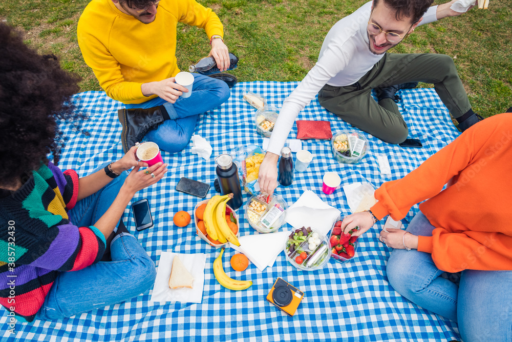 Four multiethnic friends having picnic park - Group of friends ...