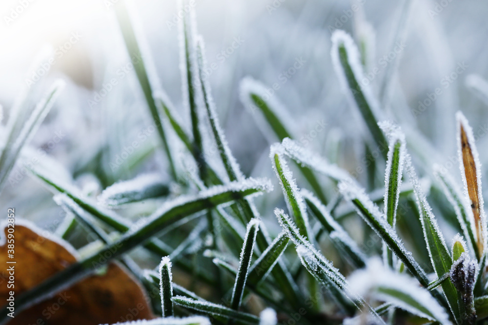 Late Winter Wallpaper