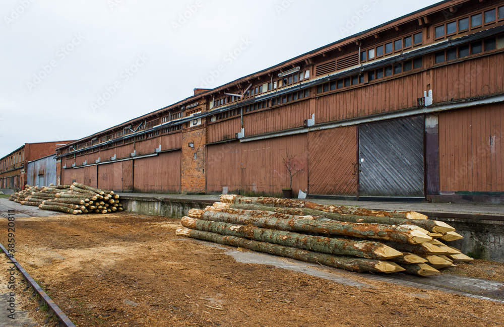 Sharpened tree trunks are stacked in front of old warehouses Pile ...