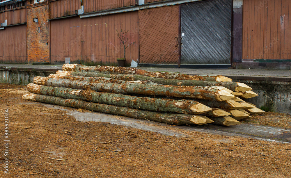 Sharpened tree trunks are stacked in front of old warehouses Pile ...