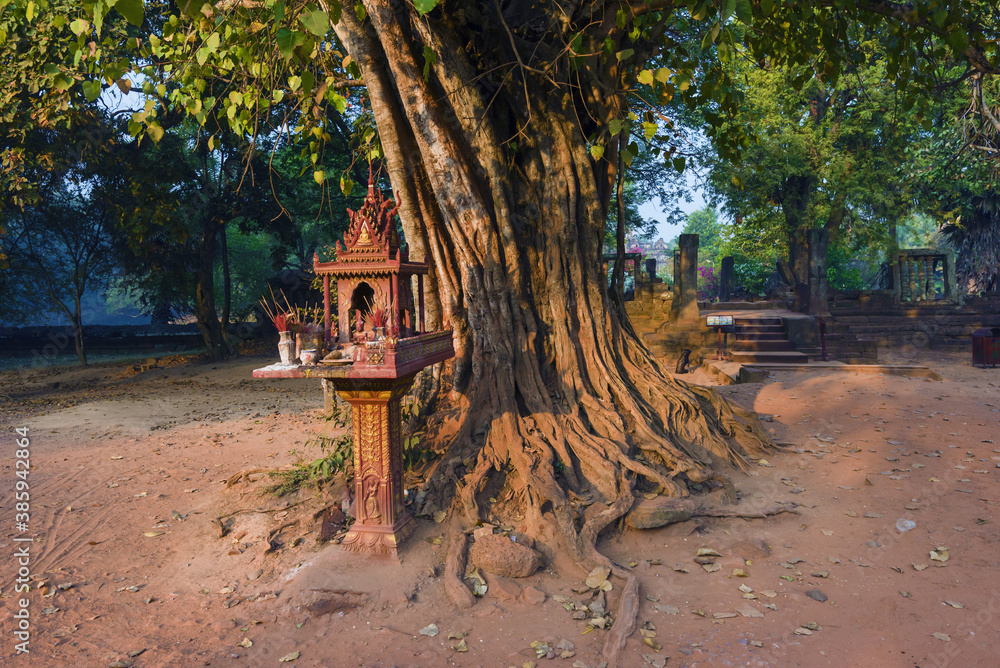 banyan tree and spirit house in the courtyard of the Bakong temple ...