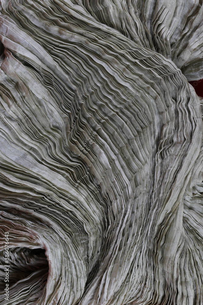 Gold Fabric Pleat , showing the curve of Pattern and texture Stock ...