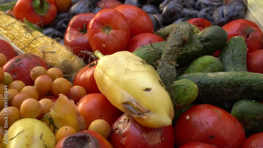 Spoiled fruits and vegetables. Food loss and Food Waste on the Farm ...