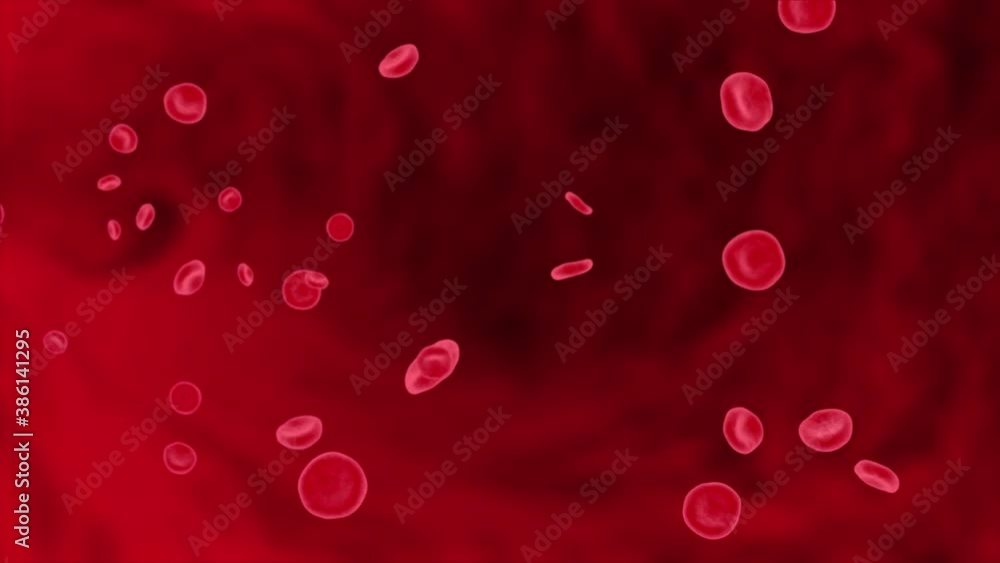 Red blood cells in vein Human blood 4K 3D Alpha Channel loop Animation ...