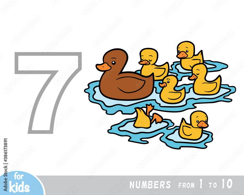 Educational poster for children about numbers. Digit seven, seven ducks ...