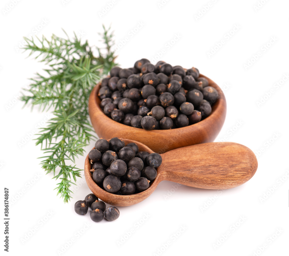 Dry juniper berries with a green branch, isolated on white background ...