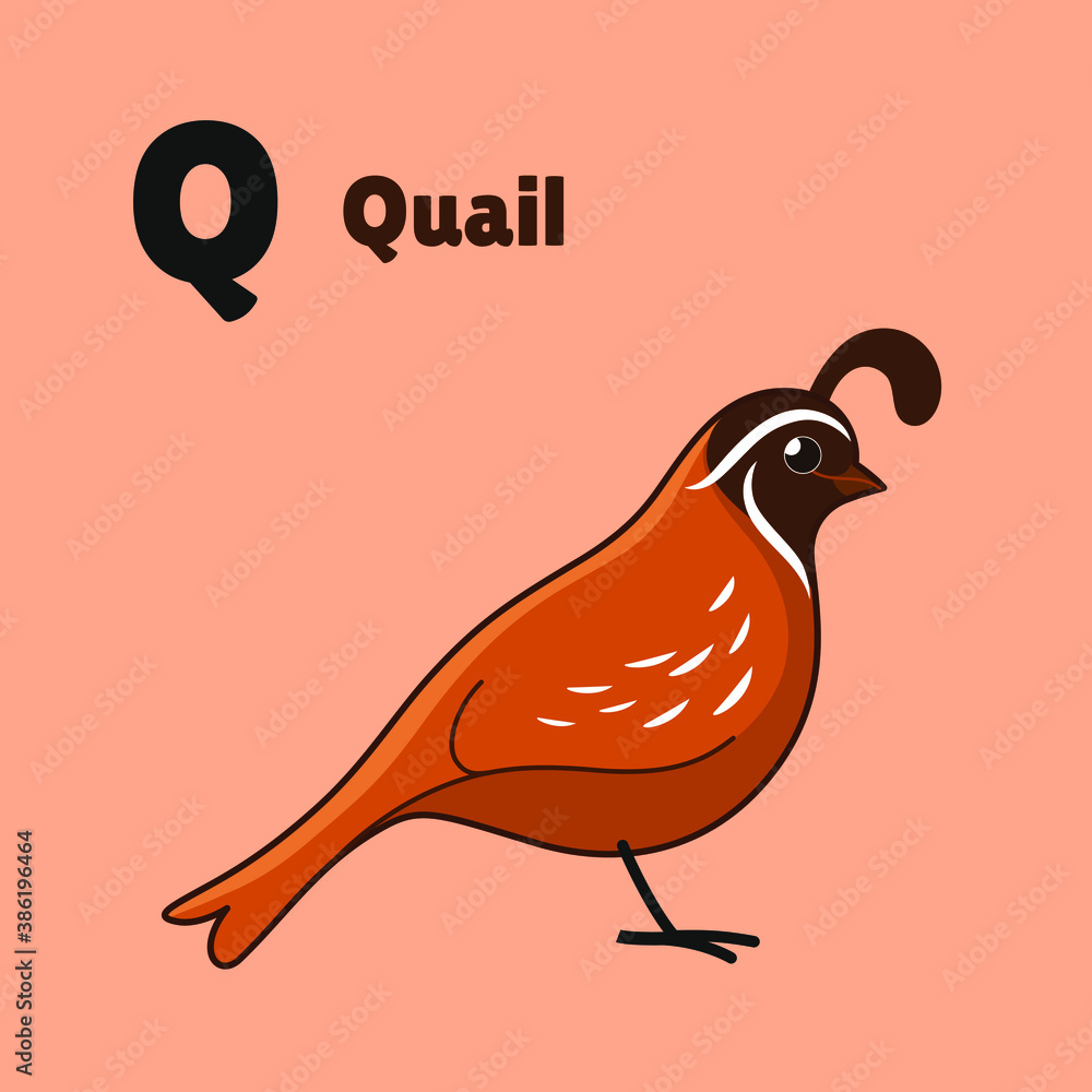 Cartoon quail, cute character for children. Vector illustration in ...