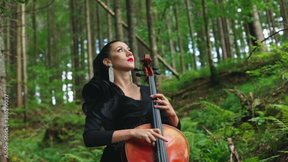 Beautiful cellist in the forest. Luxury woman in black dress playing ...