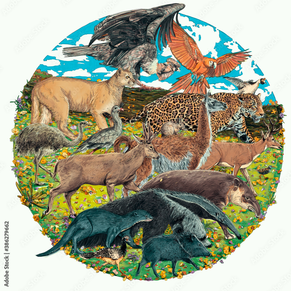 endangered species Yaguareté Condor Huemul Oso Hormiguero gigante Tapir ...