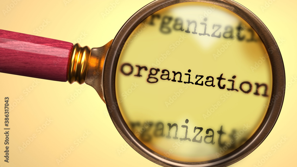 Examine and study organization, showed as a magnify glass and word ...