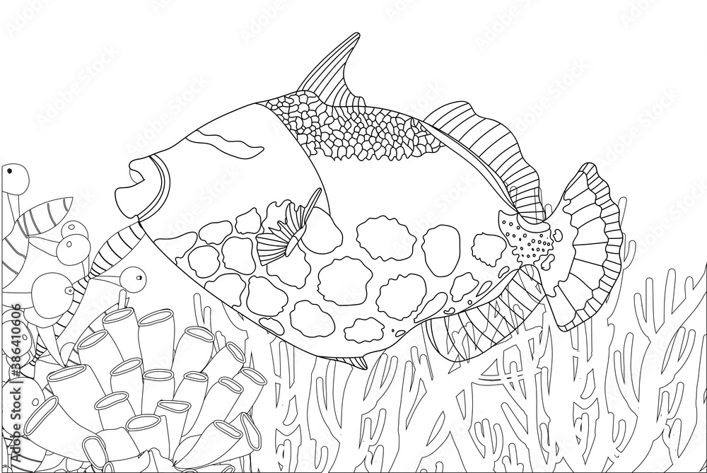 Fish exotic coloring. Antistress coloring page. Sea creatures. Ocean ...
