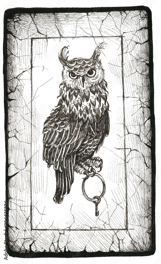 Wild owl. Graphic image of a wild owl with keys for decoration and ...