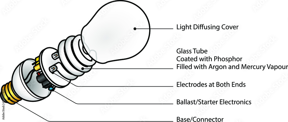 Exploded diagram of a CFL (Compact Fluorescent Lamp) lightbulb. With ...