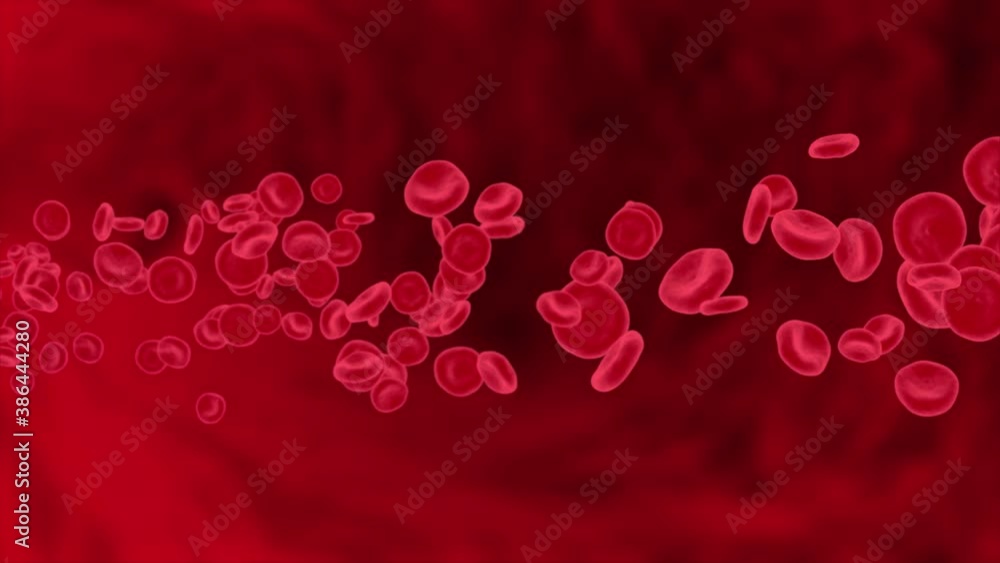 Digitally generated animation of red blood cells flowing through a red ...