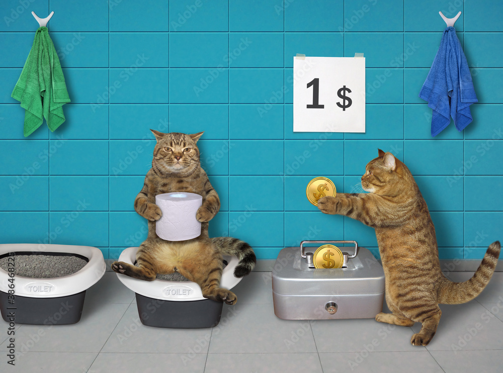 Foto de Cats are in a public restroom. A cat gives an entrance fee. do ...