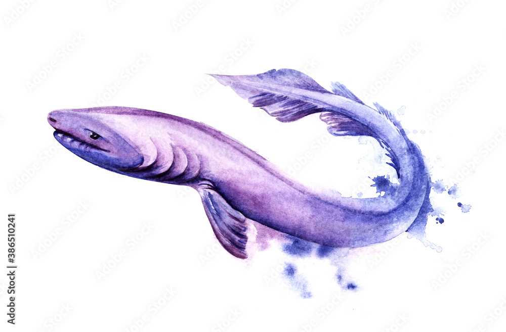 Watercolor image of cartoon frilled shark of purple color on white ...