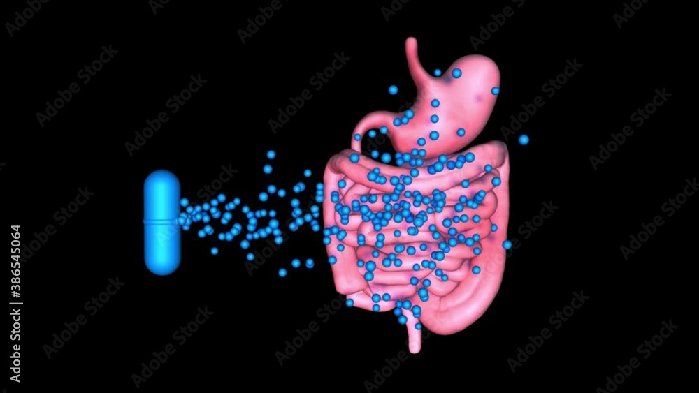 Medication moves from pill capsule into human stomach , intestines. 3d ...