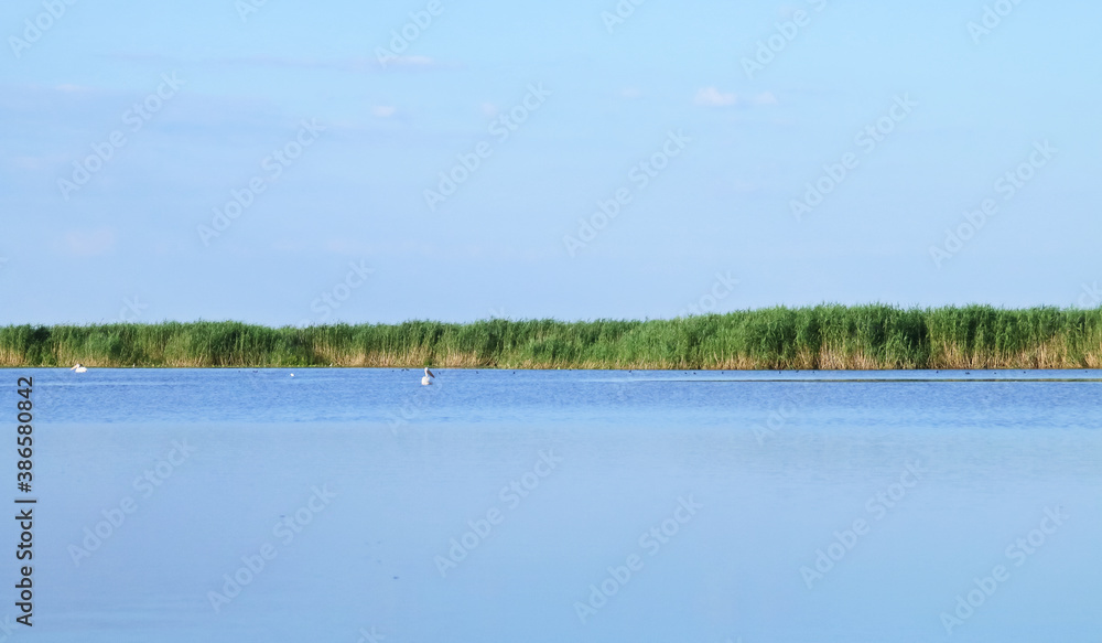 Paisaje del humedal del delta del Danubio en Rumanía. Paisaje compuesto ...