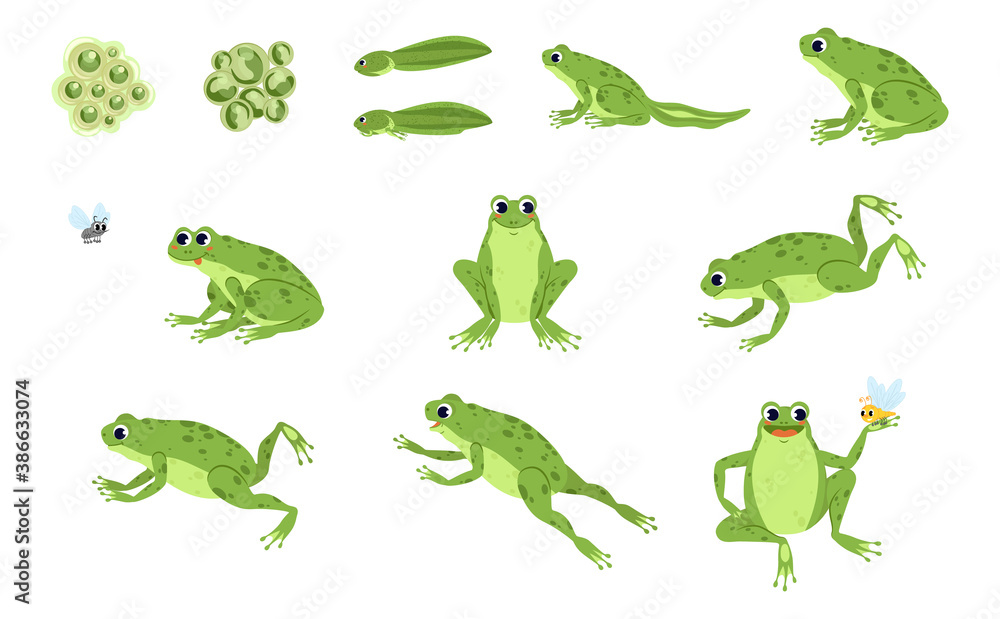Set of Cute Frog and Frog Prince cartoon characters. Frog Jumping ...