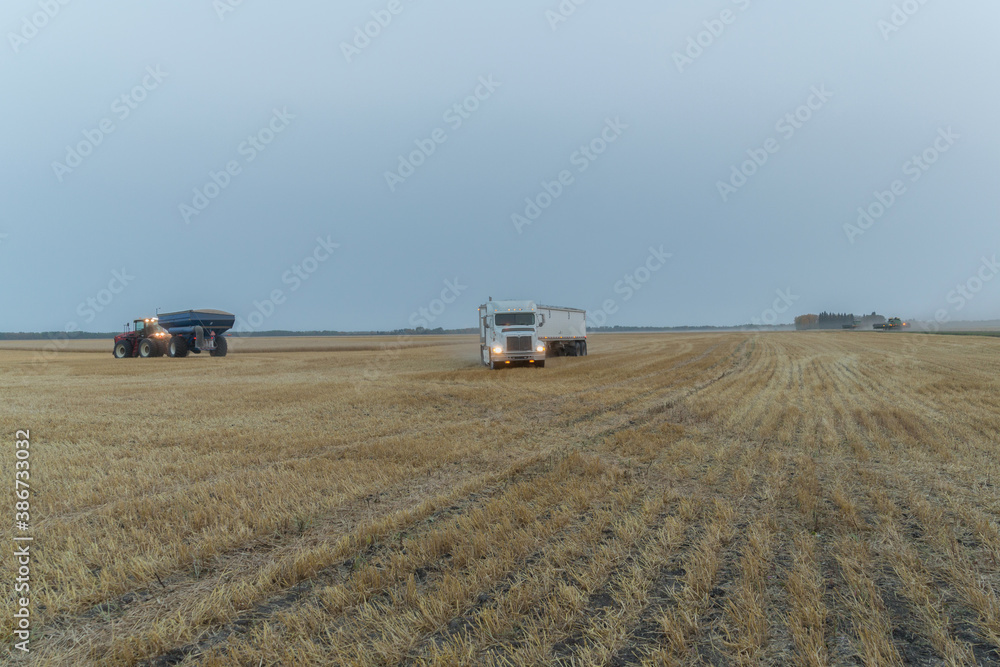 grain cart and semi truck in a farm field at dusk during harvest season ...