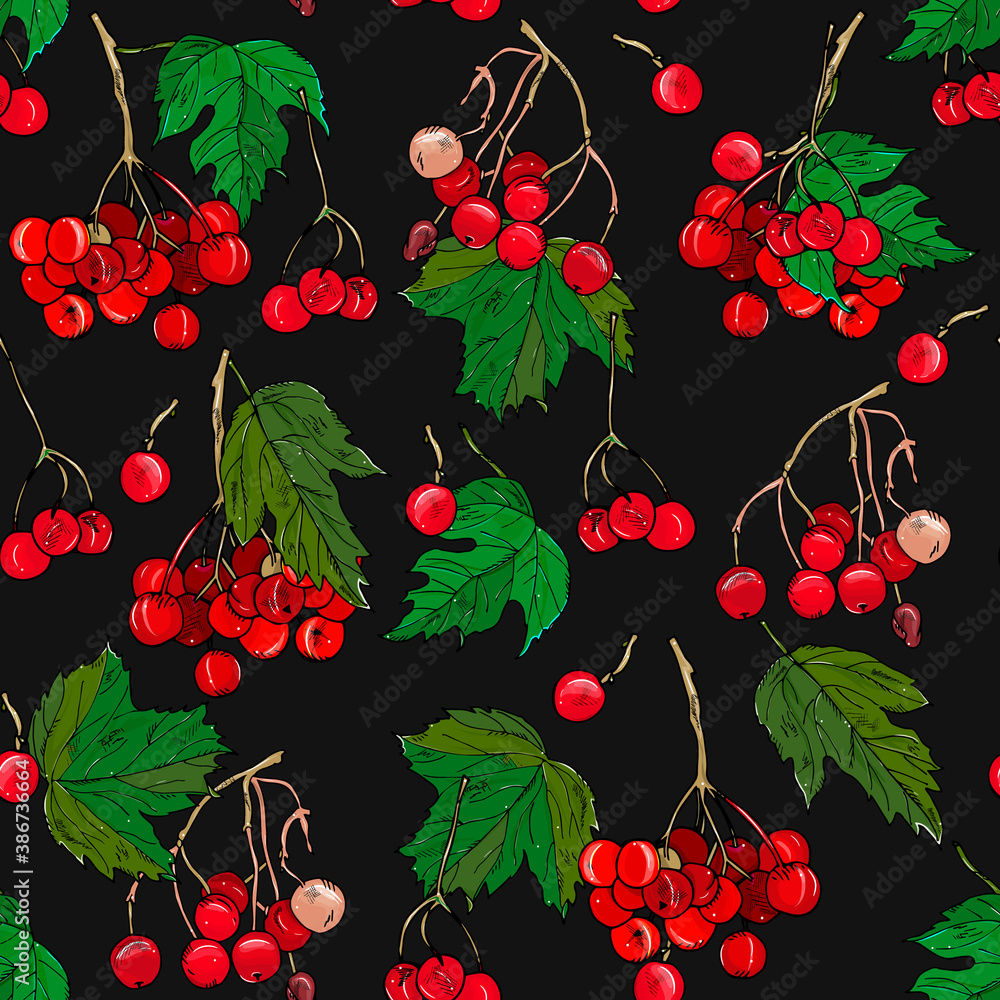 Viburnum berries and leaves seamless pattern. Forest natural background ...