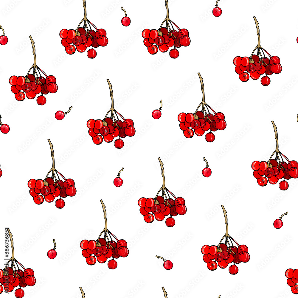 Viburnum berries and leaves seamless pattern. Forest natural background ...