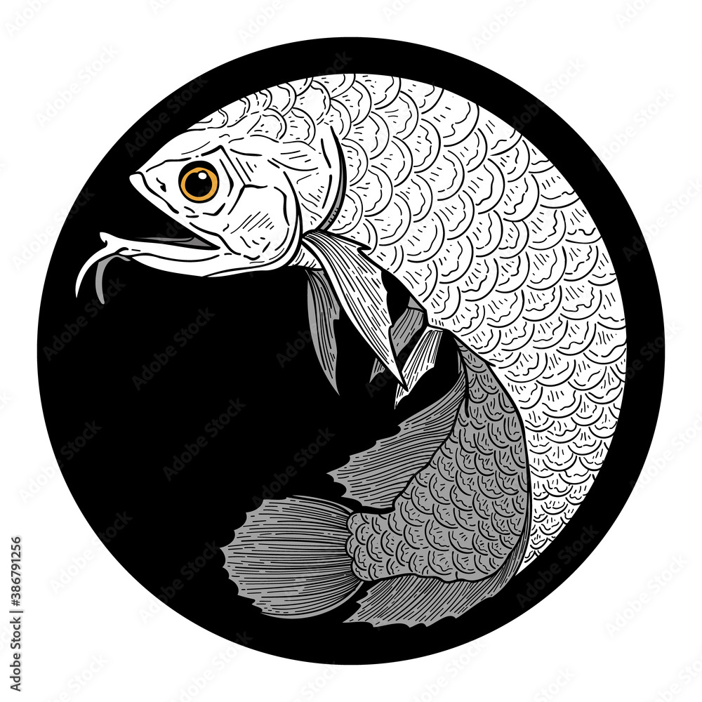 hand drawn vector illustration of Arowana fish isolated on black ...