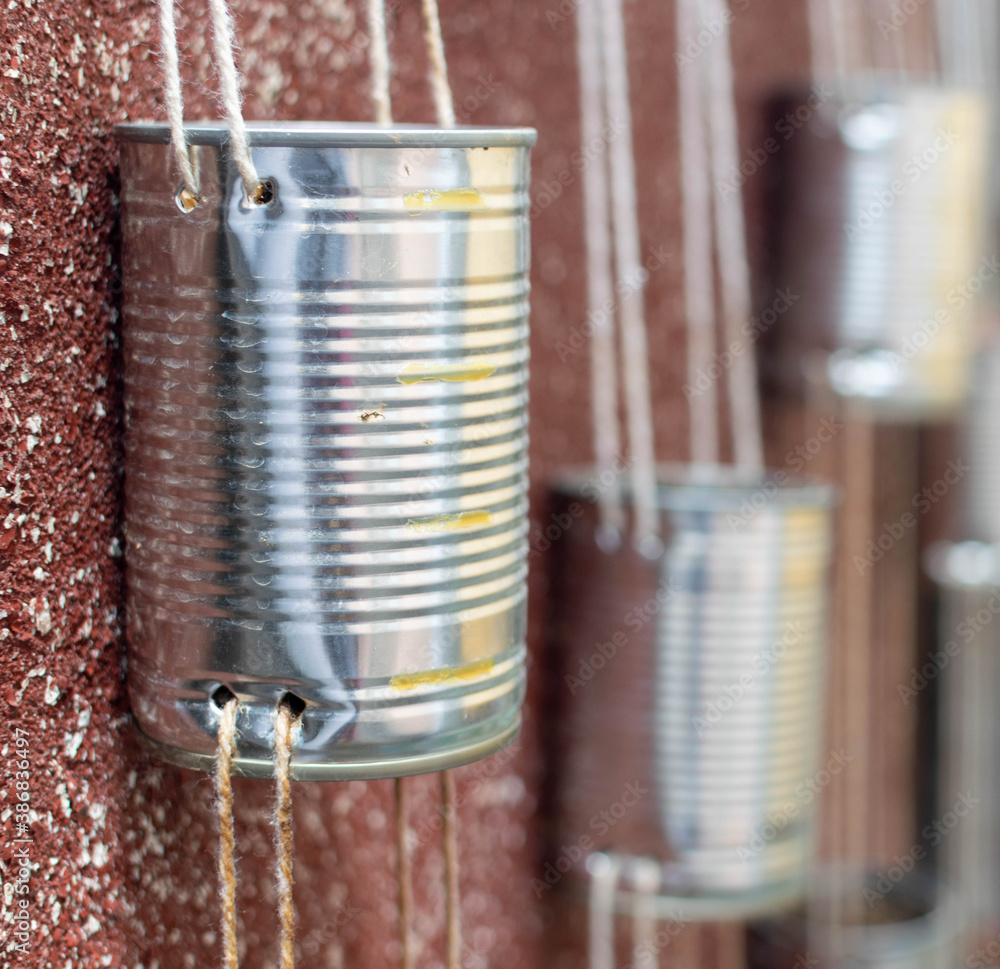 Saplings of vegetable in recycled cans as a vertical garden, Waste ...