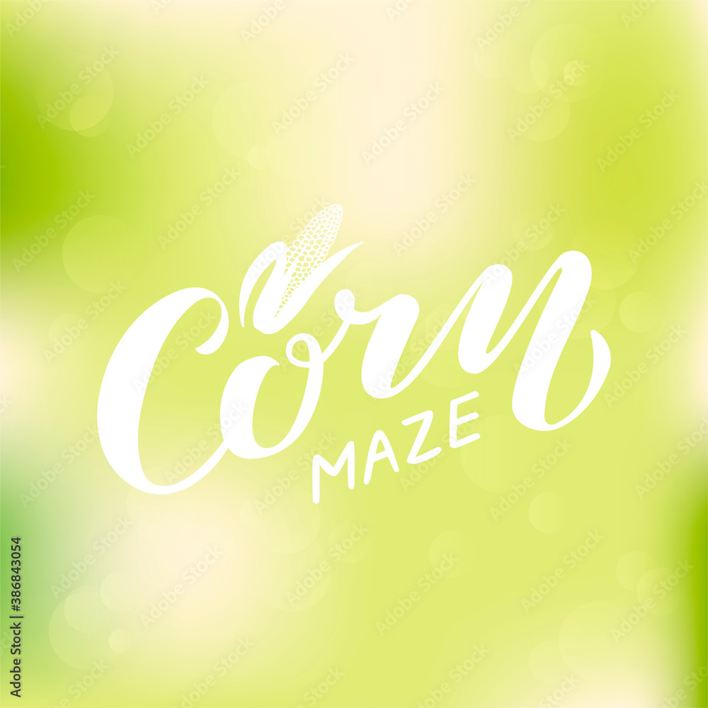 Vector illustration of corn maze brush lettering for banner, leaflet ...