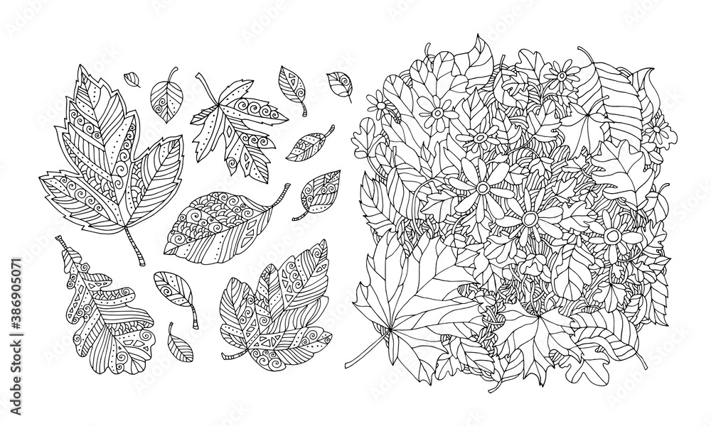 Folling leaves pattern. Maple, elm, birch, linden. Hand drawn artwork ...
