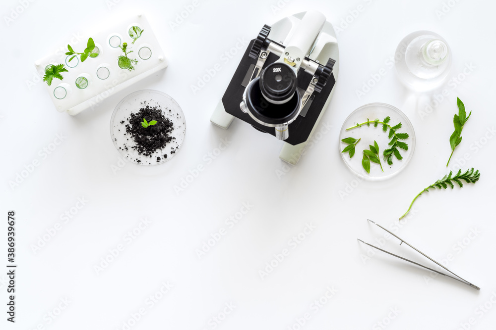 Phytopathological examining soil and plants with microscope in lab ...