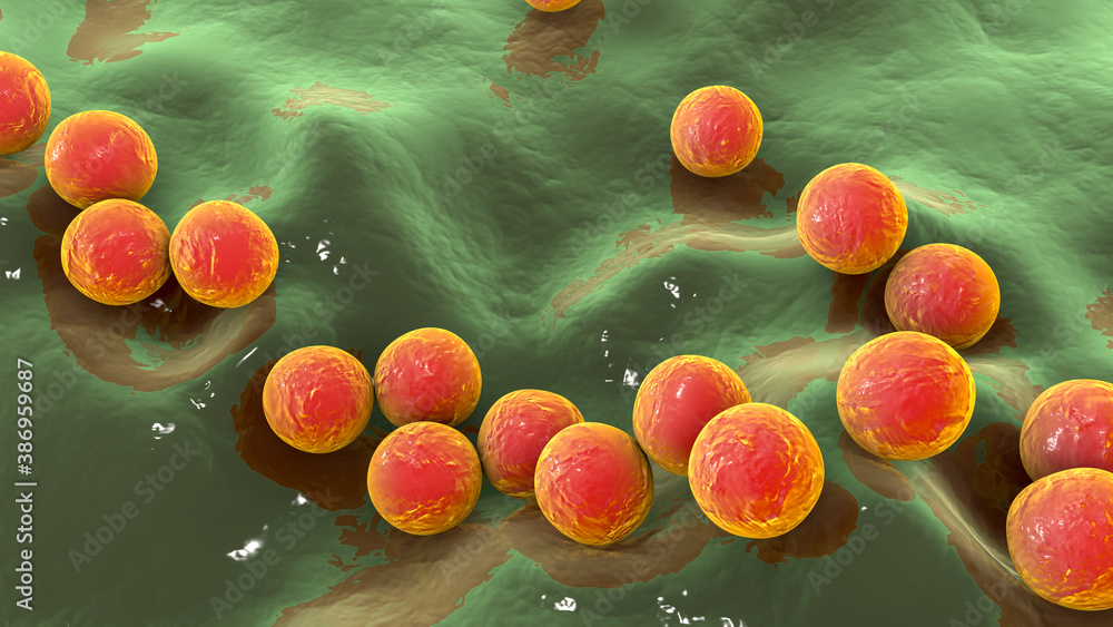 Gram-positive bacteria Streptococcus pyogenes Stock Illustration ...