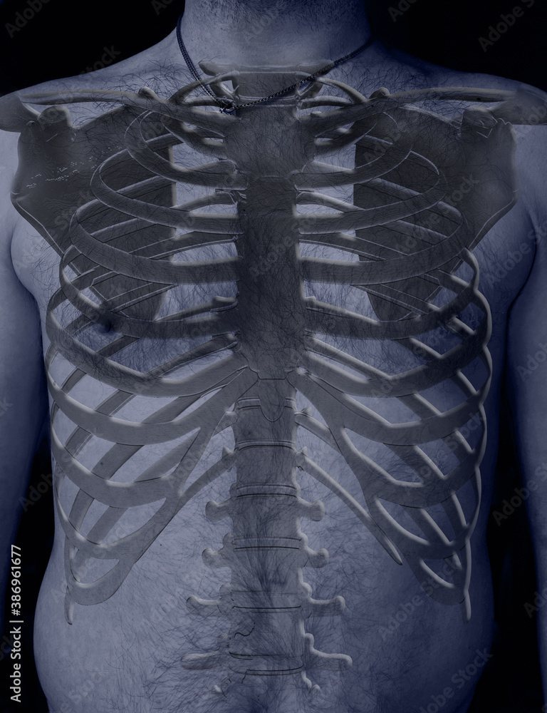 Illustrated Skeleton on male chest Stock Illustration | Adobe Stock