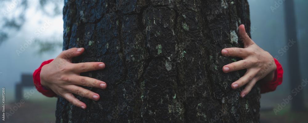 Touch and connect to the nature, Girl stand behind and hugging the tree ...