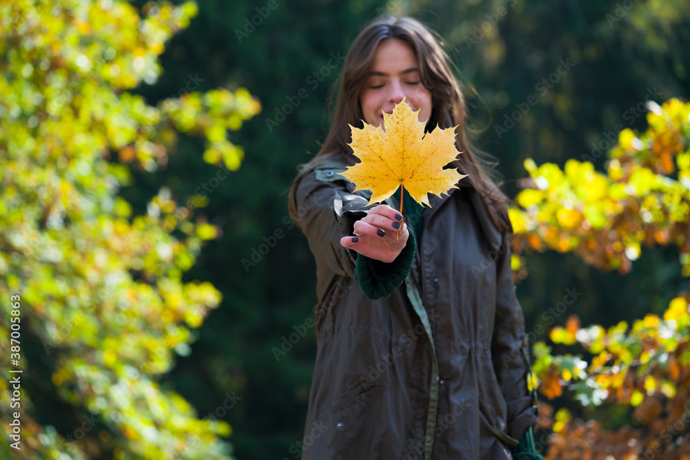 Autumn beautiful woman in forest. Girl with autumn leaf. Fall ...