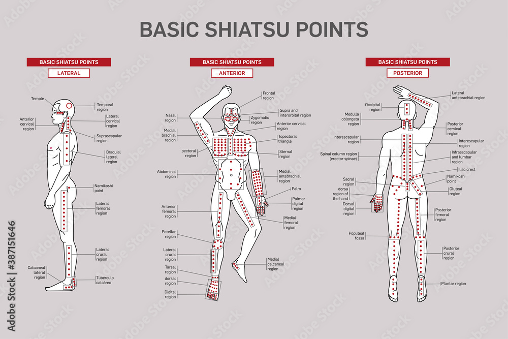 Basic Shiatsu Points in a male figure. Anterior, posterior and lateral ...