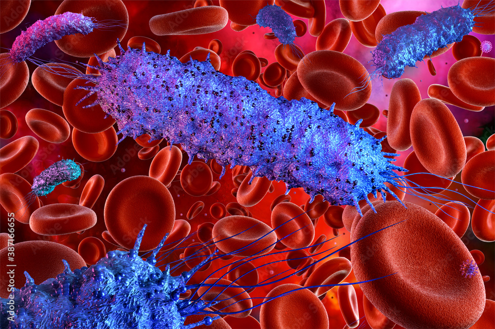 Pathogenic rod-shaped bacteria and red blood cells erythrocyte medical ...
