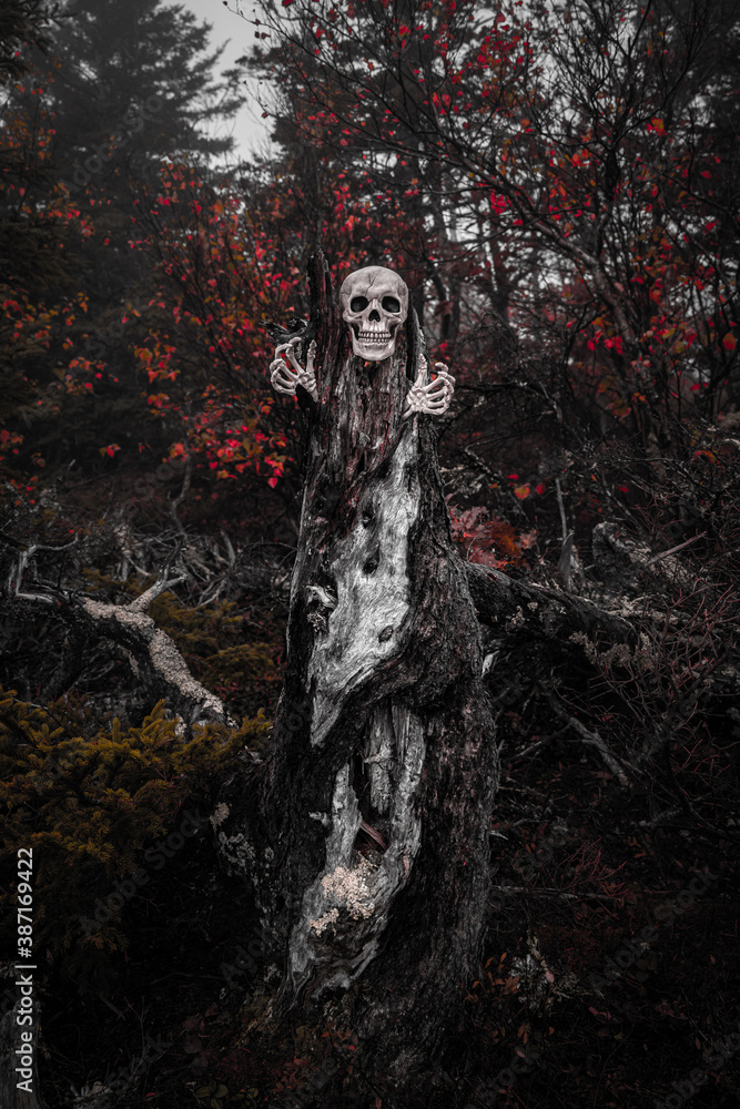 Skull and Skeleton Hands Coming Out of Creepy Tree Stock Photo | Adobe ...