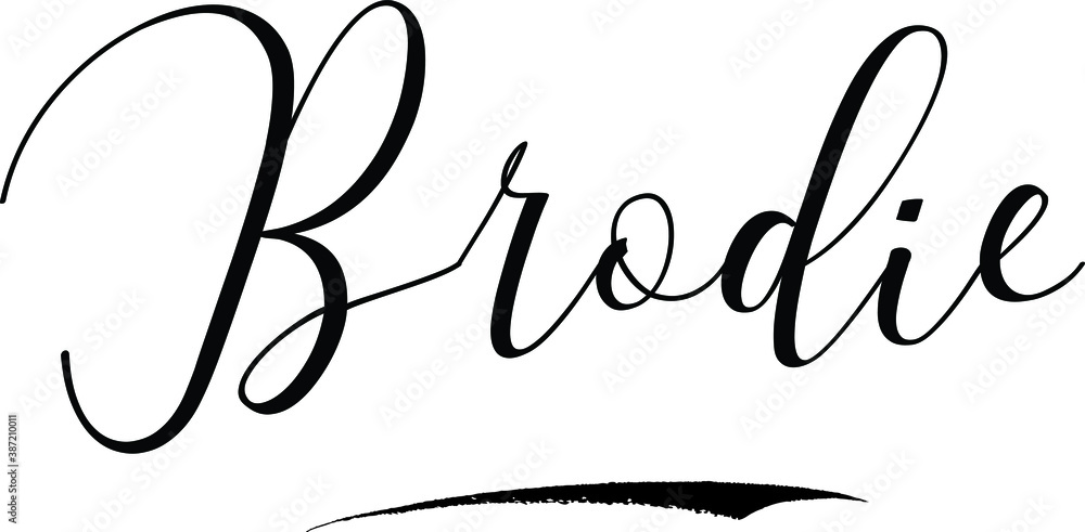 Brodie -Male Name Cursive Calligraphy on White Background Stock Vector ...